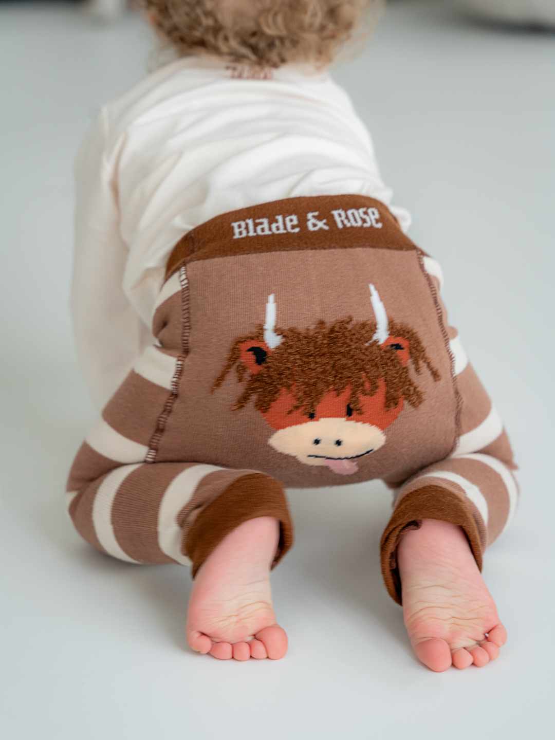 Neutral Highland Cow – Blade & Rose USA