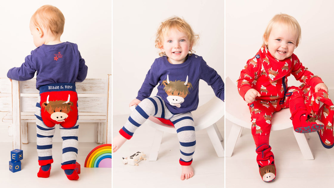 Hamish Highland Cow – Blade & Rose USA